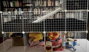 How to Make a Guinea Pig Cage: DIY C&C Modular - Full Guide
