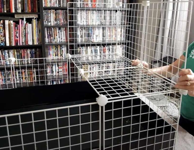 How to Make a Guinea Pig Cage: DIY C&C Modular - Full Guide