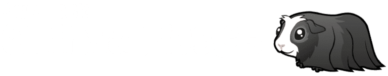 Bumblefoot in Guinea Pigs: Pododermatitis Signs & Treatment