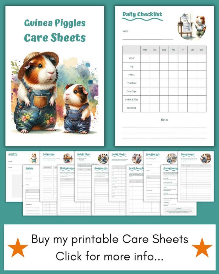 Guinea Pig Family Tree - Relatives: Ancestry & Prehistoric